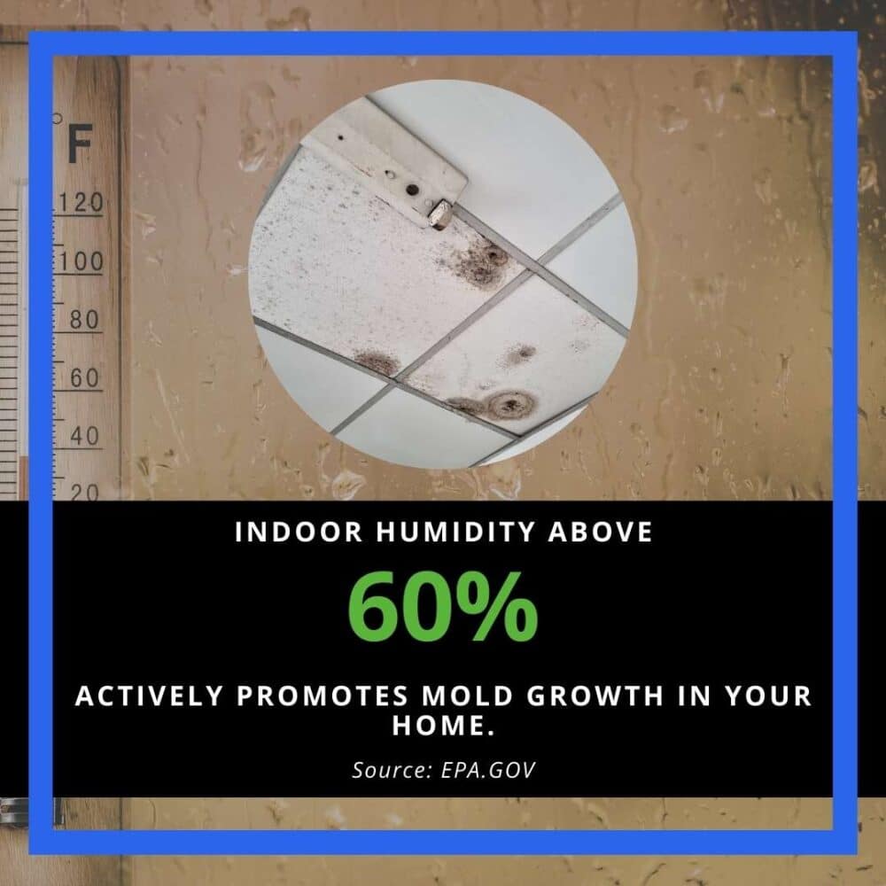 What Causes Condensation Inside Windows and How to Fix It | Enviroquest